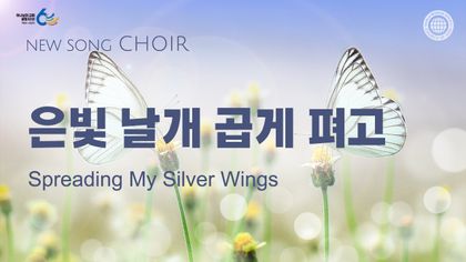 WATV 미디어 캐스트 - 하나님의교회 세계복음선교협회